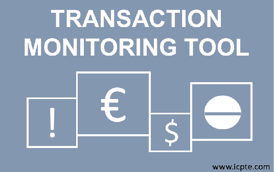 Which are the main elements of a transaction monitoring tool ...